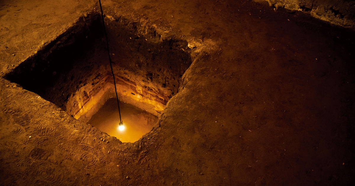 BEPPU ART MONTH 2010（ベップアートマンス 2010）｜EIKI DANZUKA（団塚 栄喜）